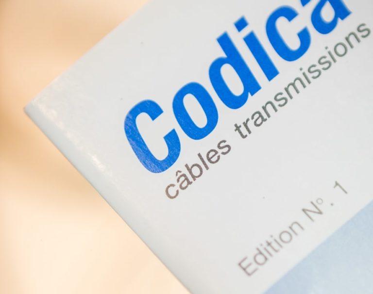 Solutions sur-mesure câble acier et inox, embout industriel